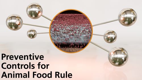 Understanding the Food Safety Modernization Act (FSMA) - ifm