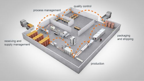 Automated dairy systems: A revolution in dairy farming - ifm