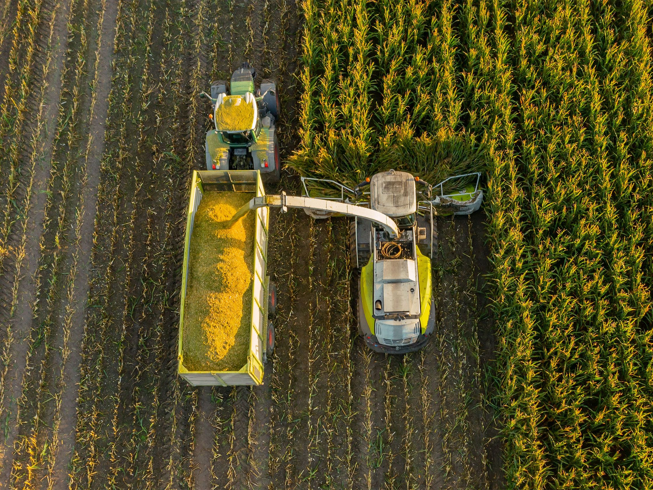 Case Study: IO-Link enhances seed performance and quality - ifm