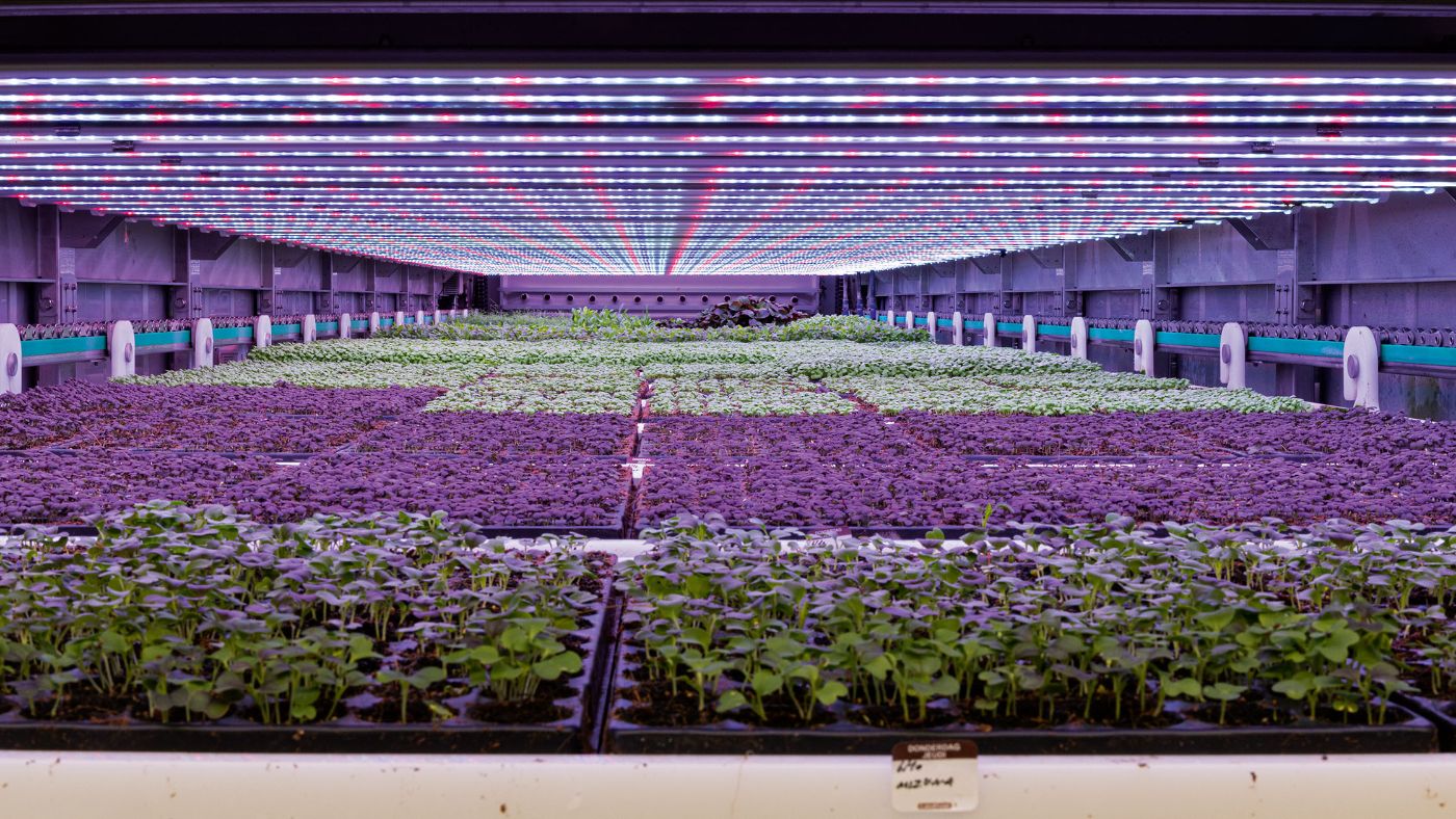 Application report: Urban Crop Solutions - ifm