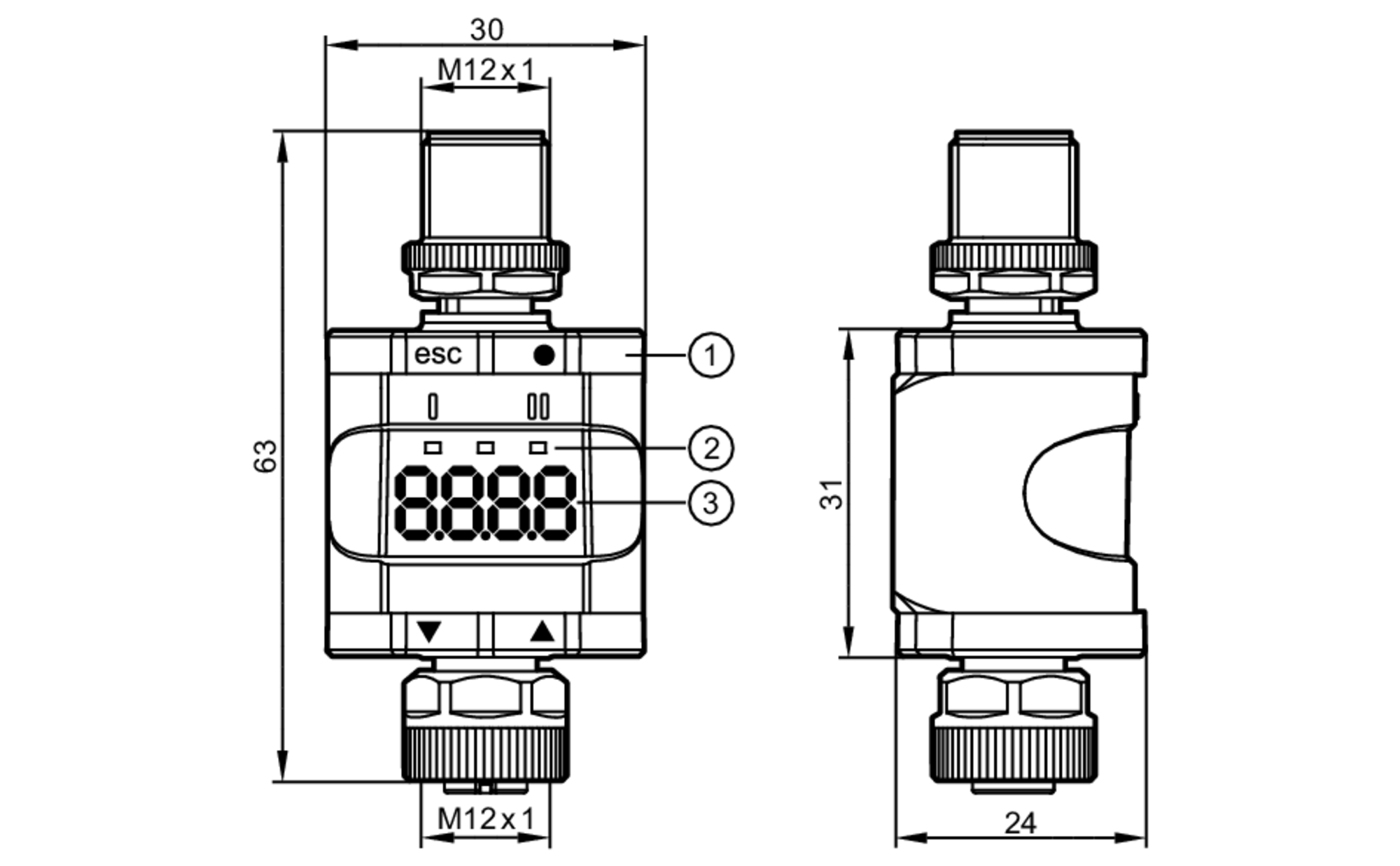 DP2200 - Evaluation system and display for analogue signals - ifm