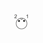 PT5401 - Pressure transmitter - ifm