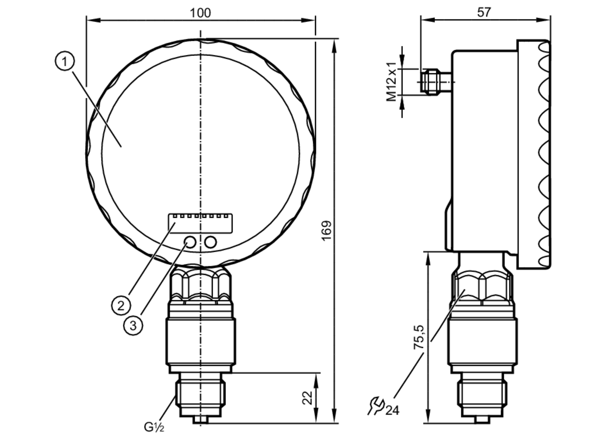PG2450 - Pressure sensor with analog display - ifm